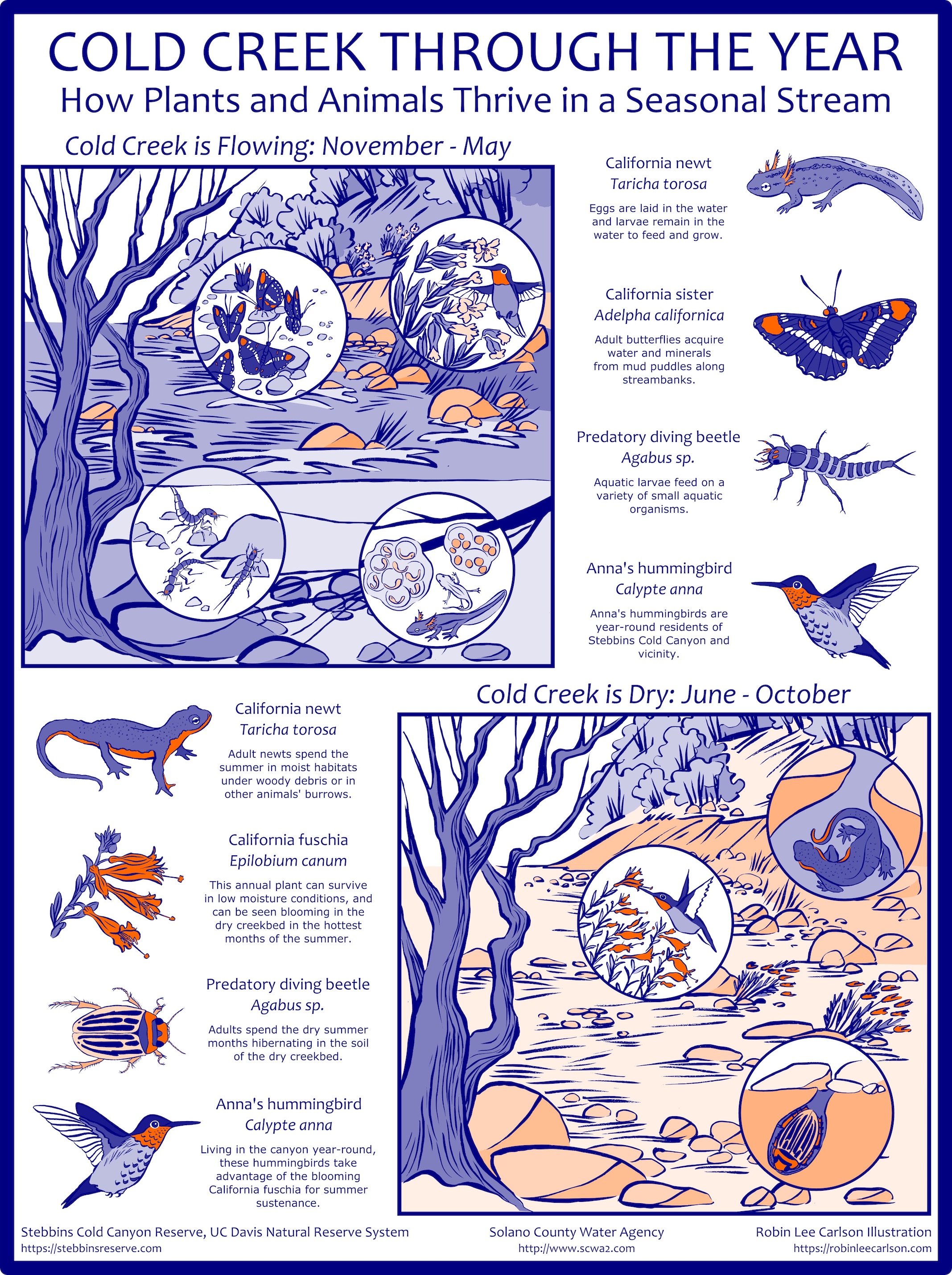 Stebbins Cold Canyon Reserve Sign – Robin Lee Carlson