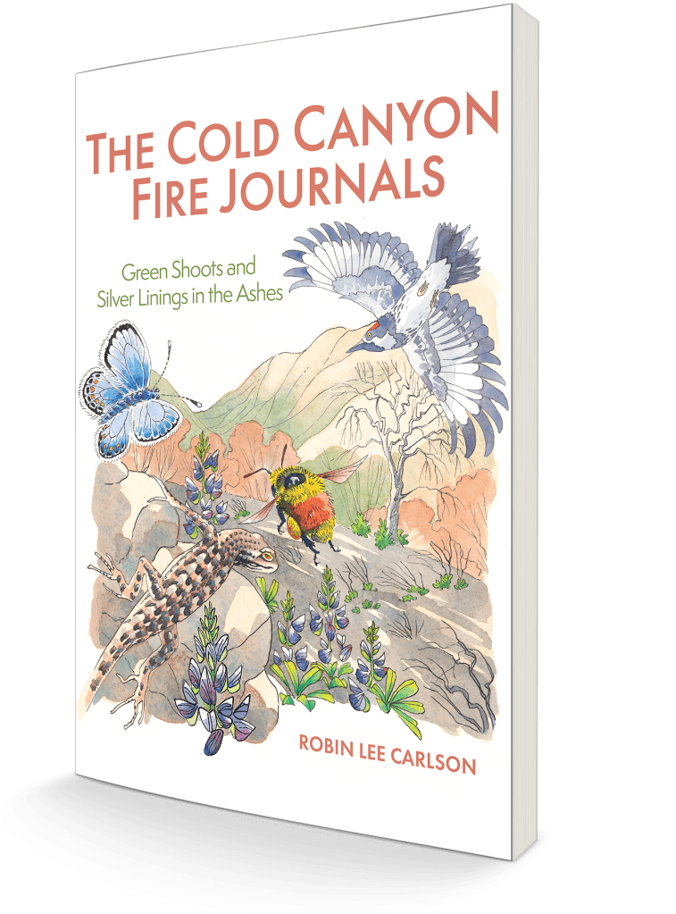 The Cold Canyon Fire Journals – Robin Lee Carlson