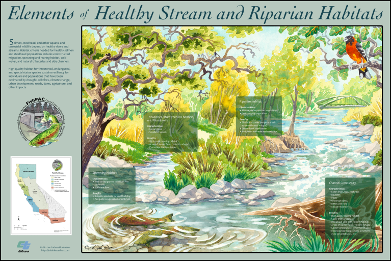 Elements of Healthy Stream and Riparian Habitats – Robin Lee Carlson