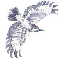 Robin Lee Carlson – Ecoreportage Artist