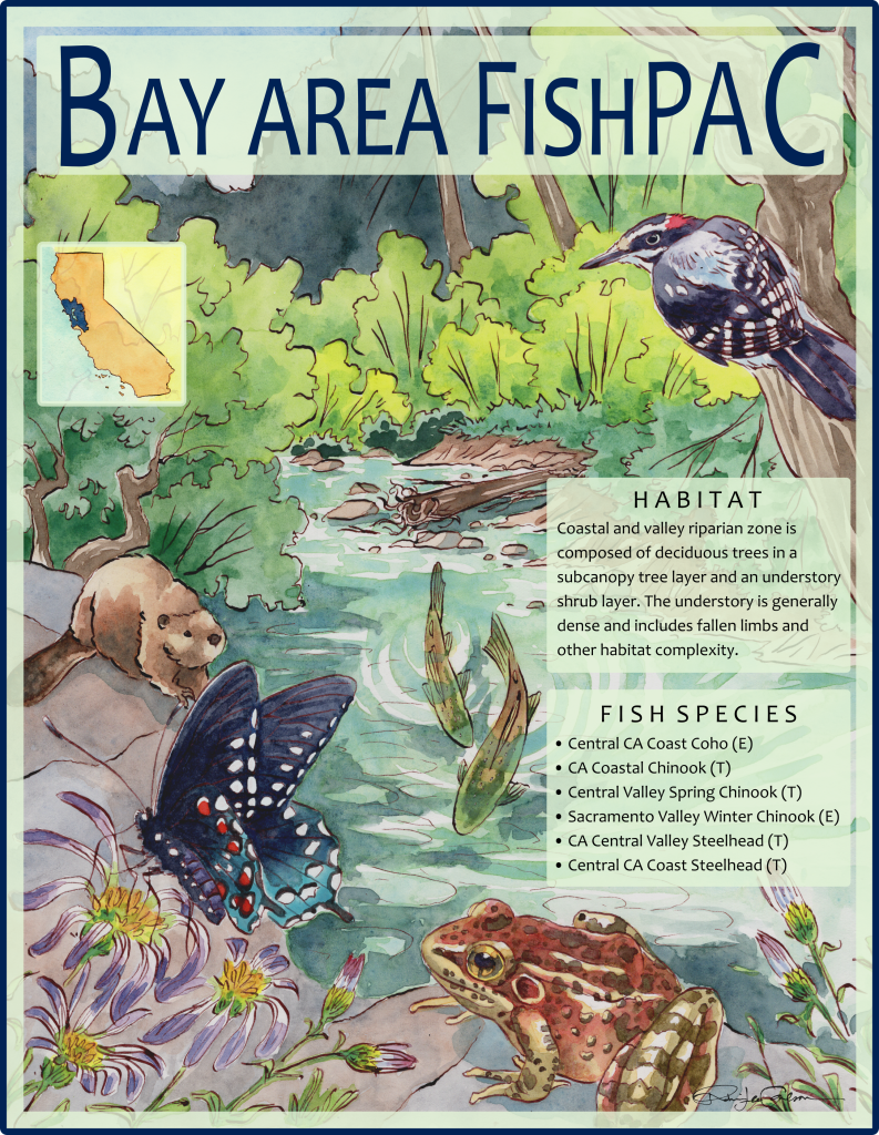 Stream Habitats Across California – Robin Lee Carlson