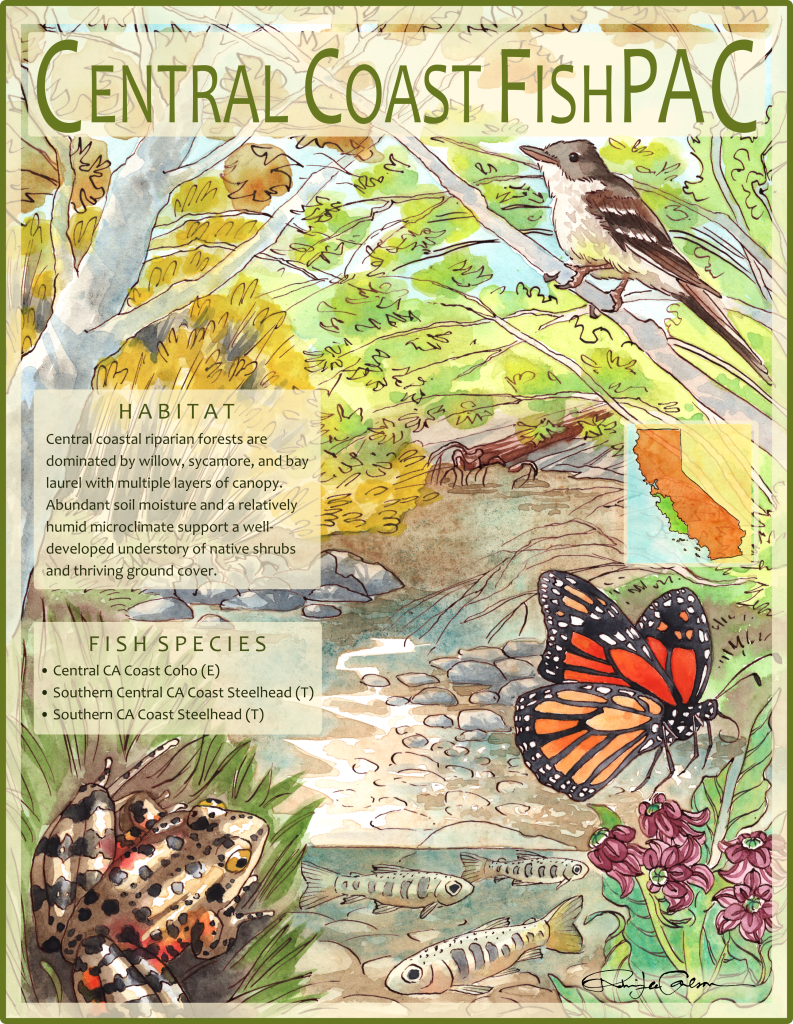 Stream Habitats Across California – Robin Lee Carlson