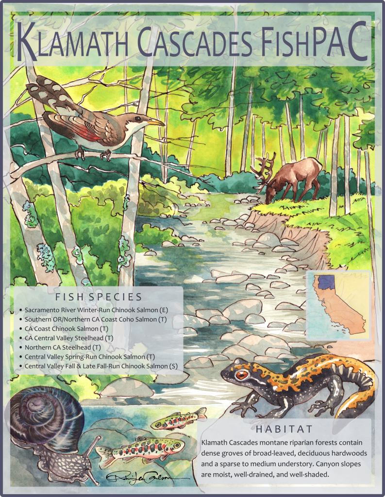 Stream Habitats Across California – Robin Lee Carlson