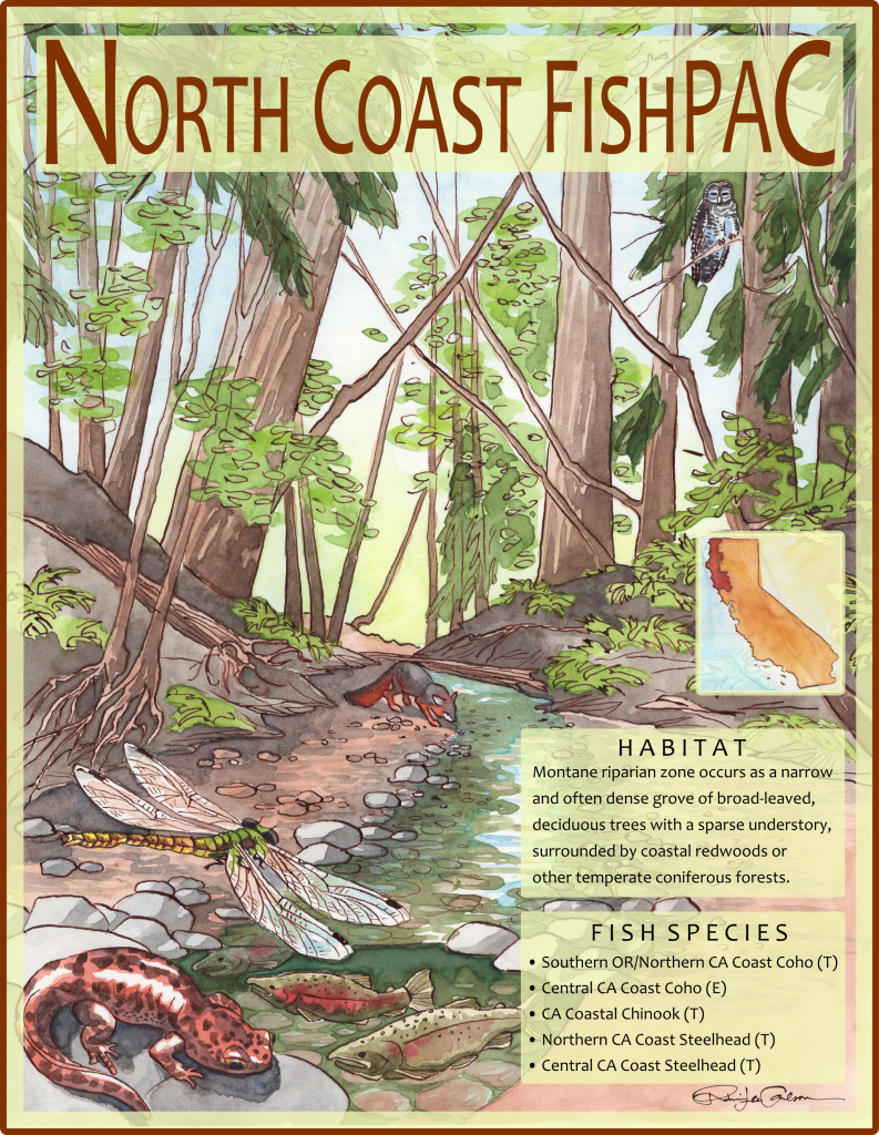 Stream Habitats Across California – Robin Lee Carlson