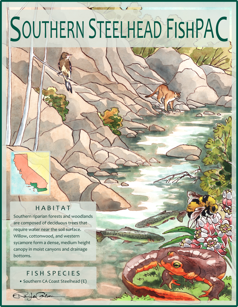 Stream Habitats Across California – Robin Lee Carlson