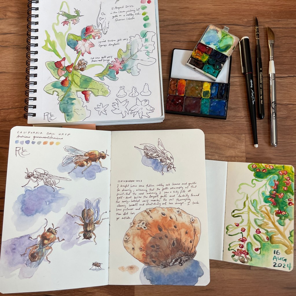 Robin Lee Carlson – Ecoreportage Artist